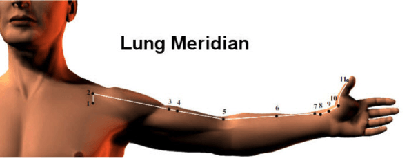 Yin Yoga: Lung Meridian poses - Myoga Studio Lausanne